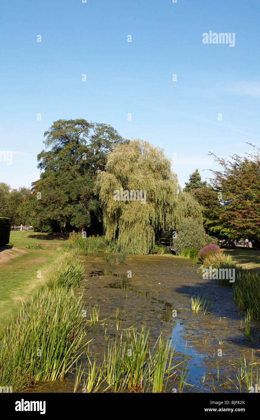 A stream in summer in the countryside Stock Photo - Alamy