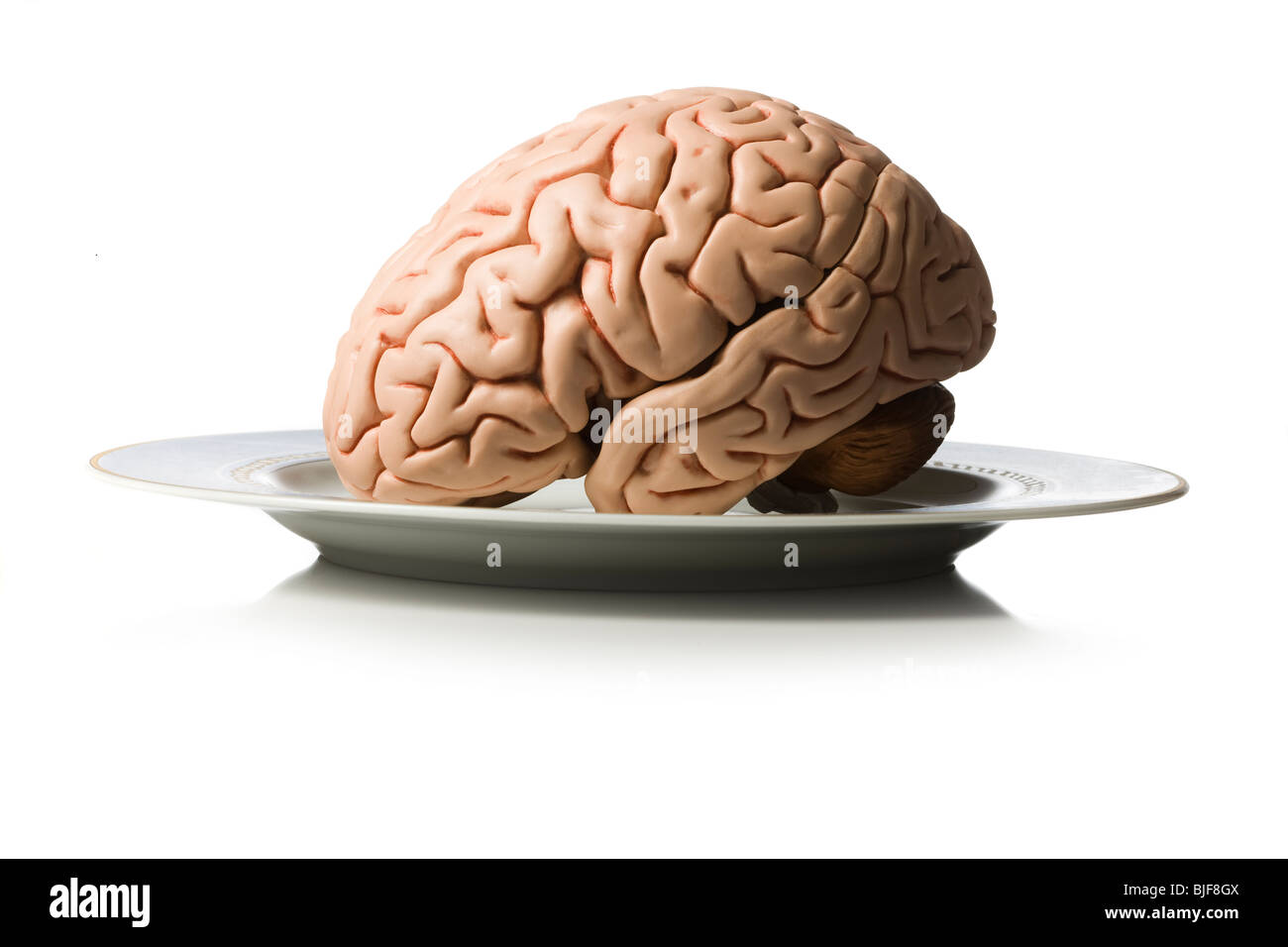 Brain food hi-res stock photography and images - Alamy