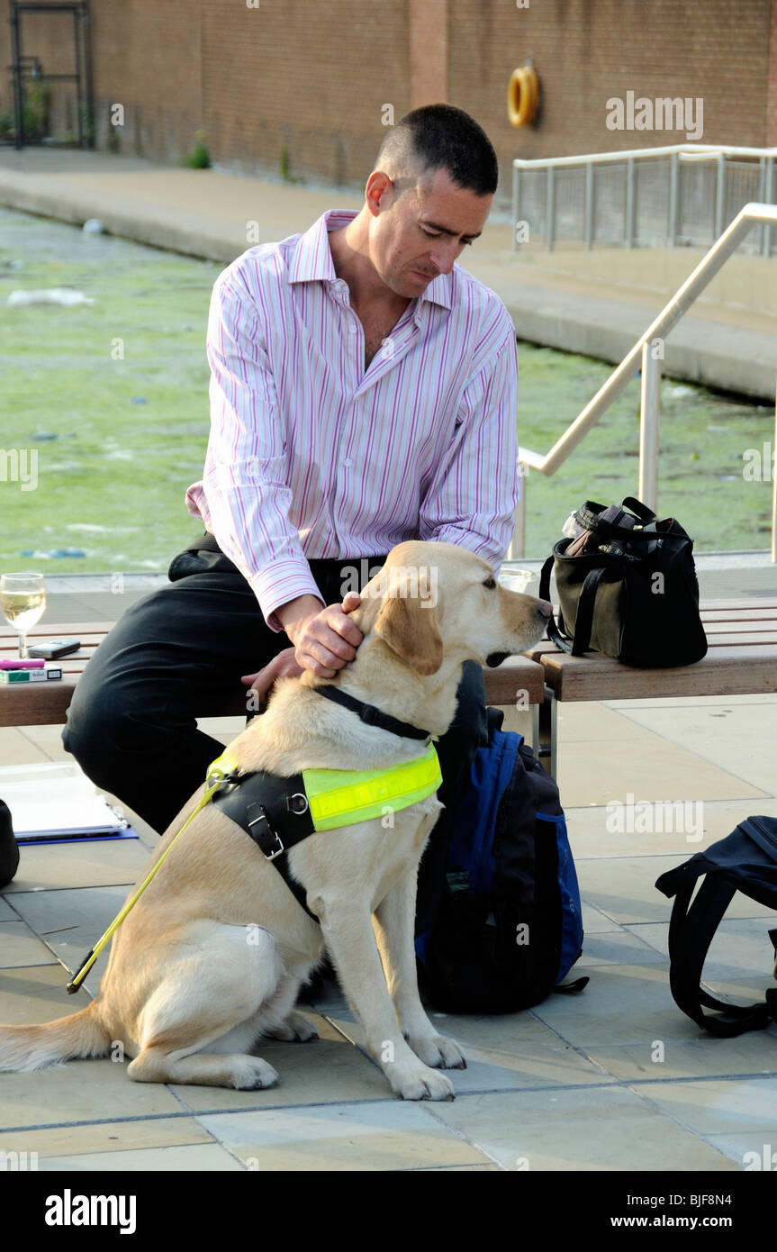 Labrador retriever guide london hi-res stock photography and images - Alamy