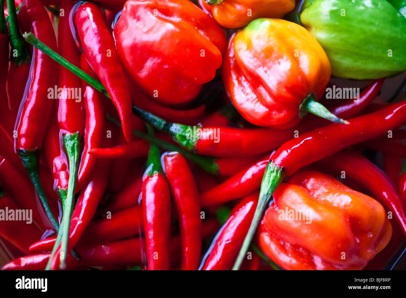 Hot pepper background Stock Photo - Alamy