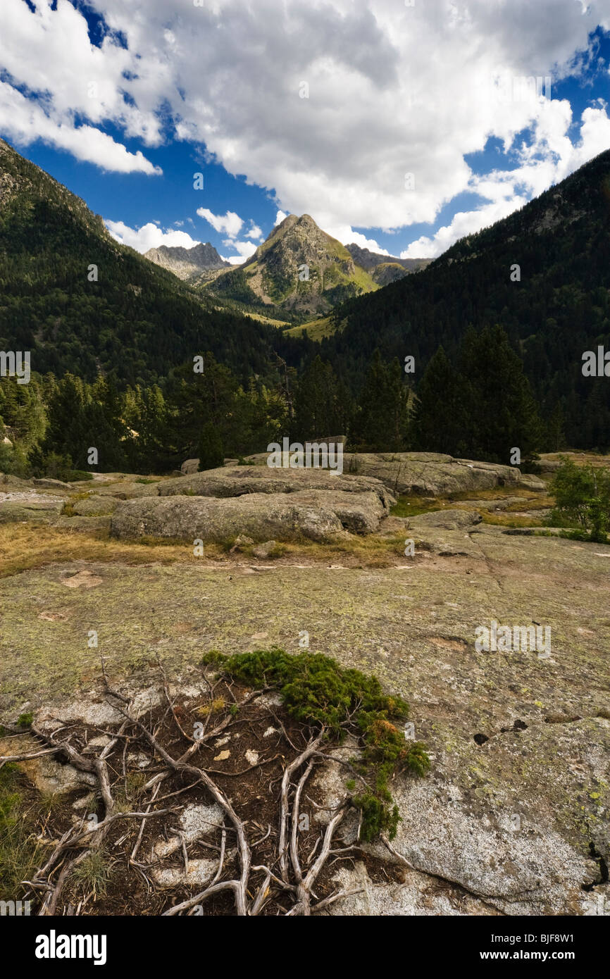 Mediambient hi-res stock photography and images - Alamy