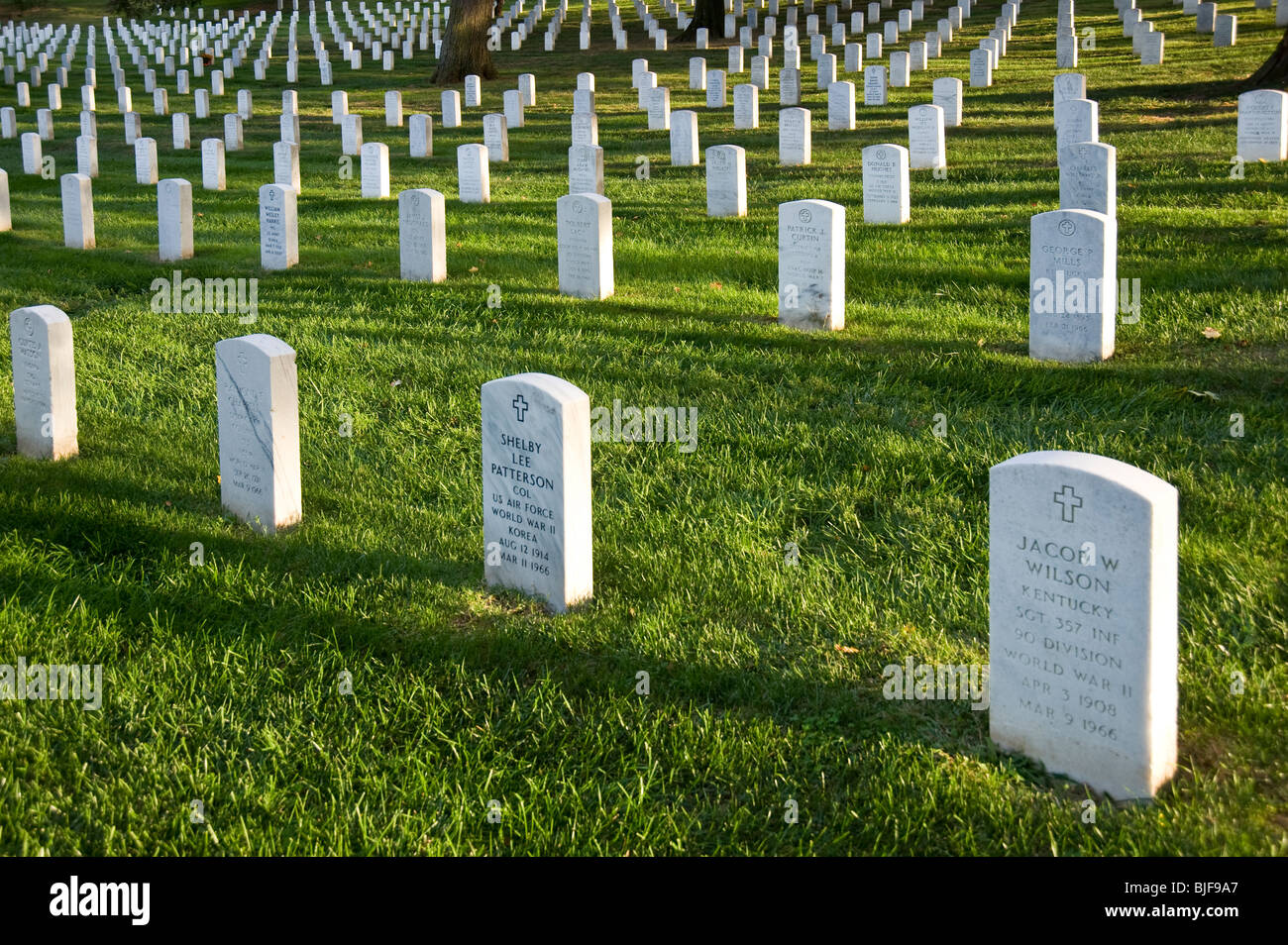 Grave Markers Arlington National Cemetery, Washington DC, USA Stock ...