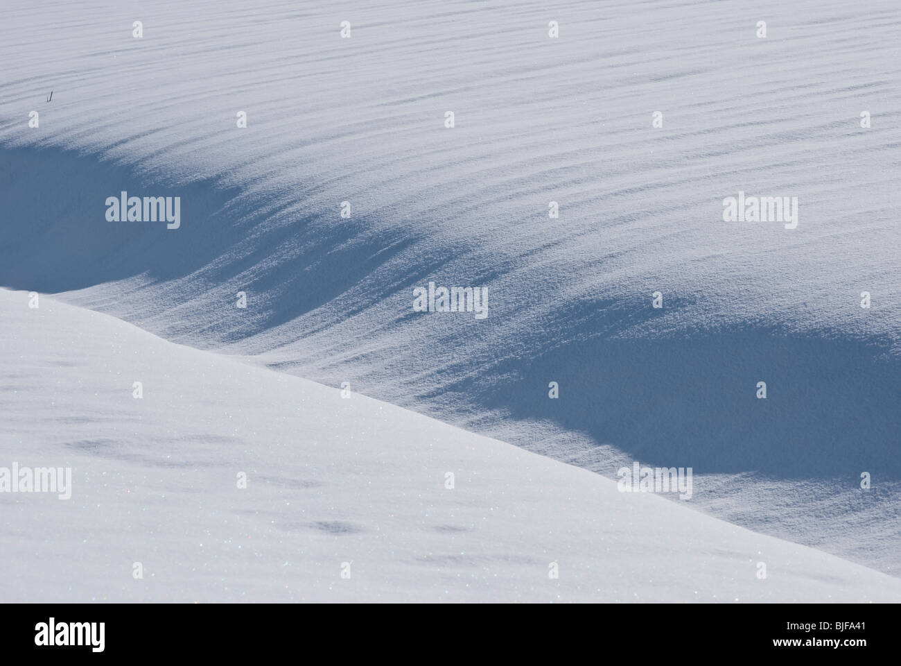 Crust of snow hi-res stock photography and images - Alamy