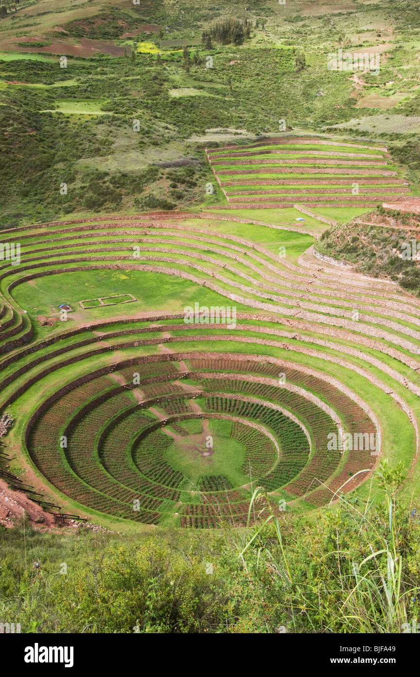 Inca crop terraces, Moray, Peru Stock Photo - Alamy