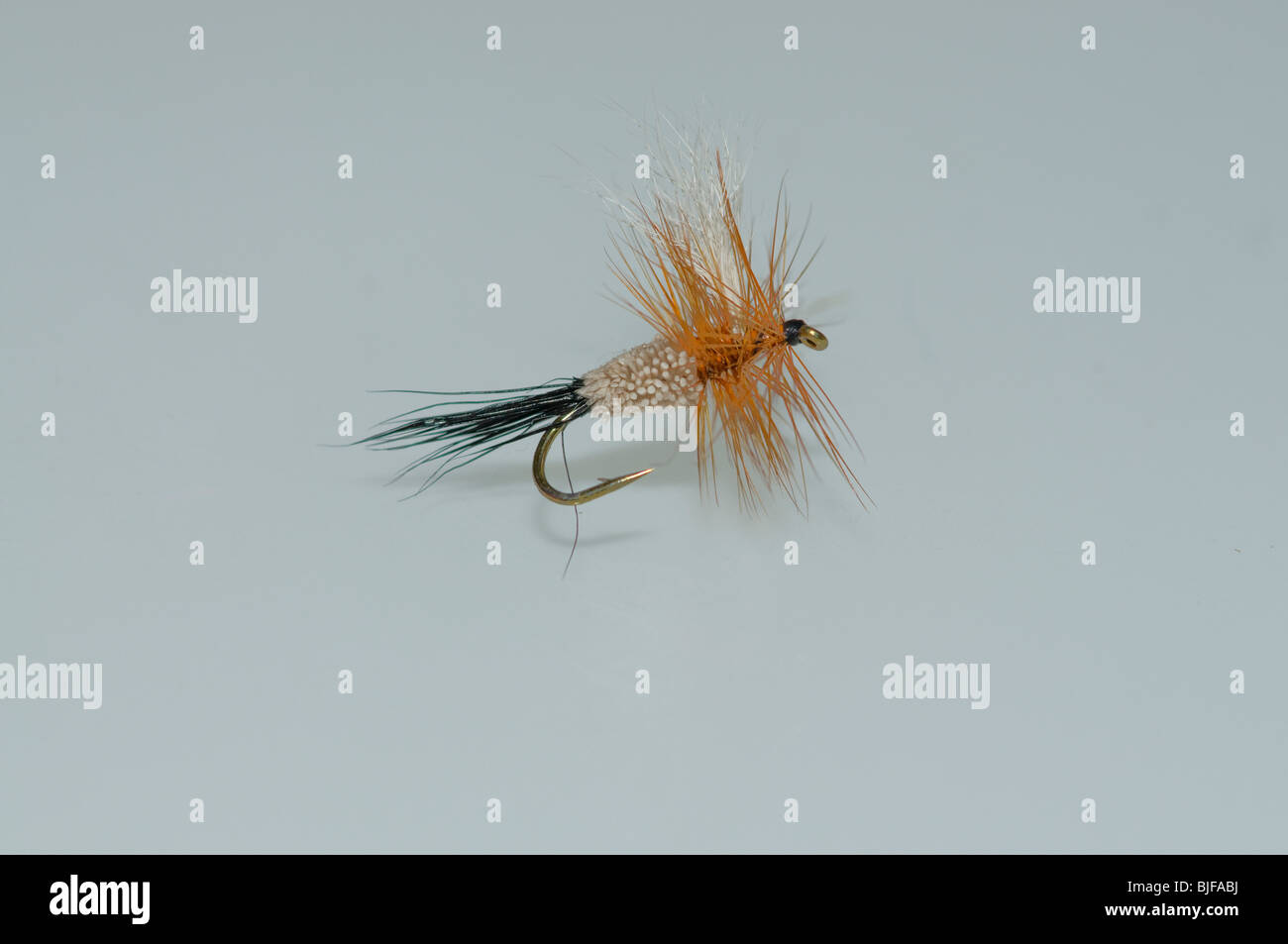 Trout Fly - Pale Morning Dun Stock Photo - Alamy