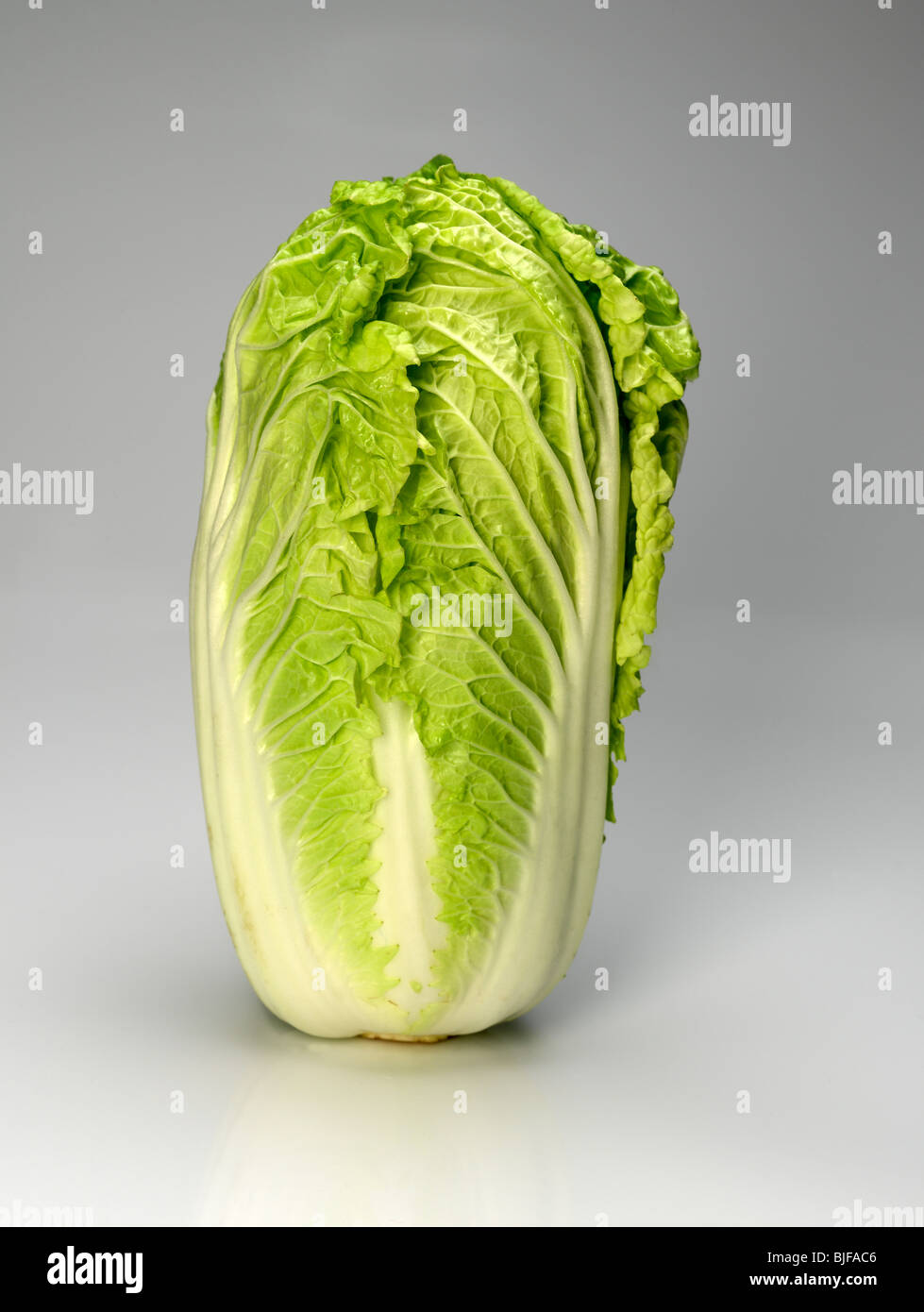 Chinese leaf hi-res stock photography and images - Alamy