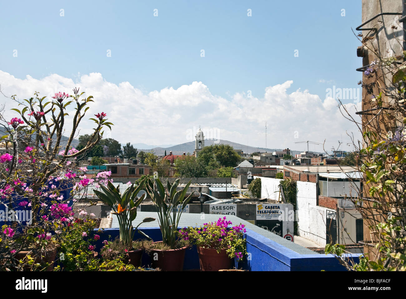 Tropical roof garden hi-res stock photography and images - Alamy
