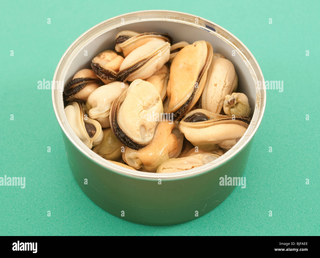 tin of mussels Stock Photo - Alamy