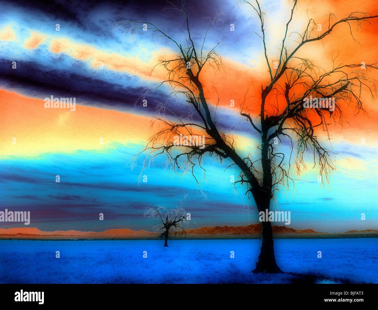 Altered tree hi-res stock photography and images - Alamy