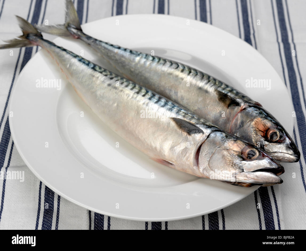 Mackerel plate hi-res stock photography and images - Alamy