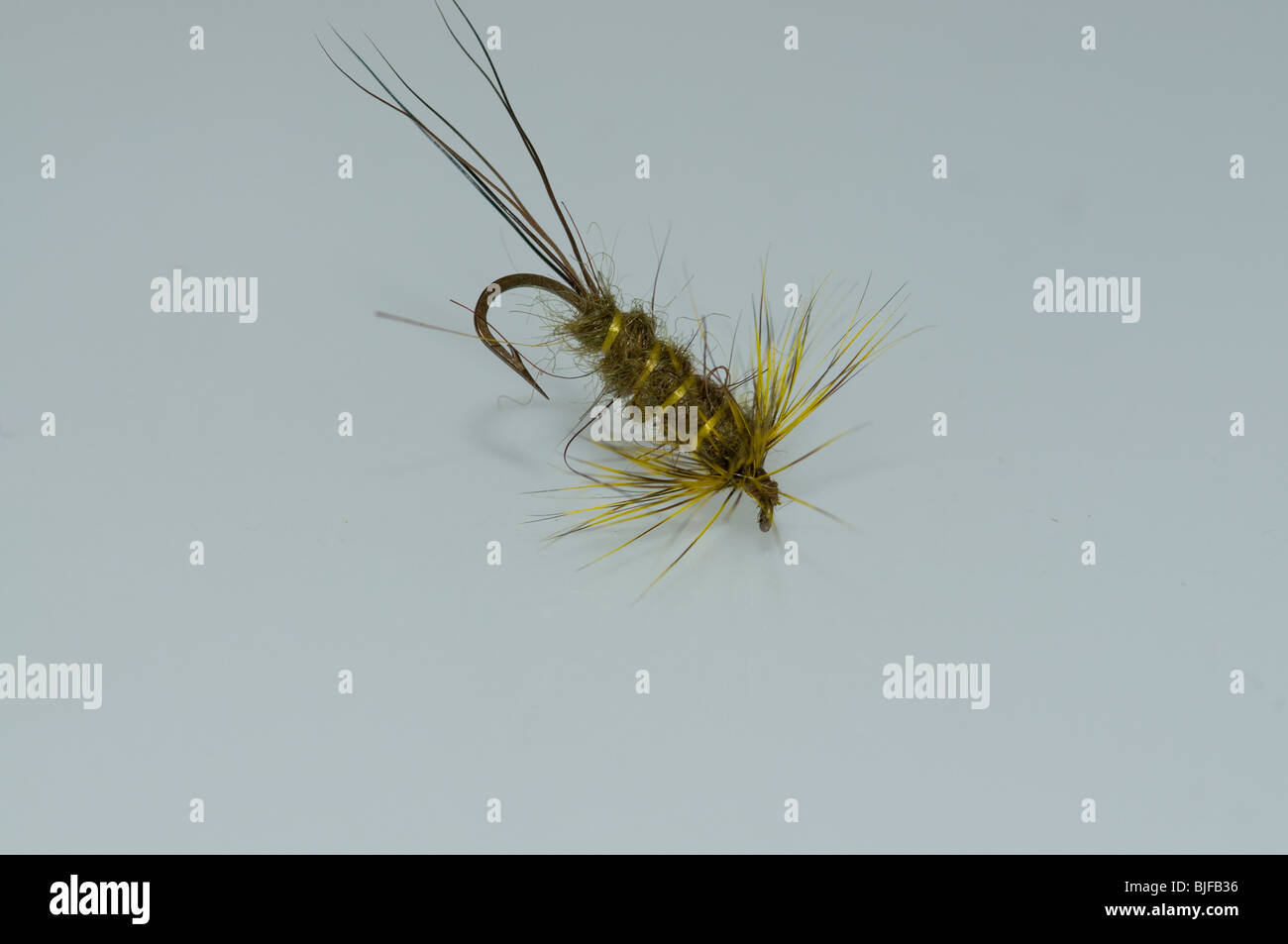Green trout hi-res stock photography and images - Alamy