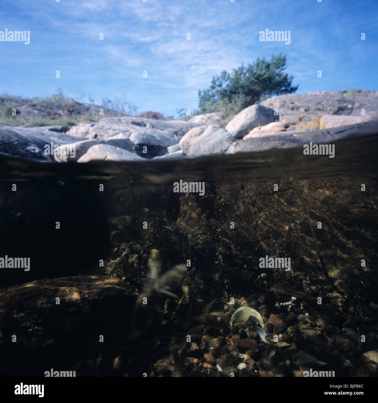 Koster islands, Swedish national Park, Sweden Stock Photo - Alamy