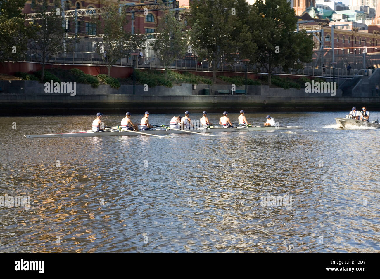 Rowing boat on The Yarra river, Melbourne, Australia Stock Photo - Alamy