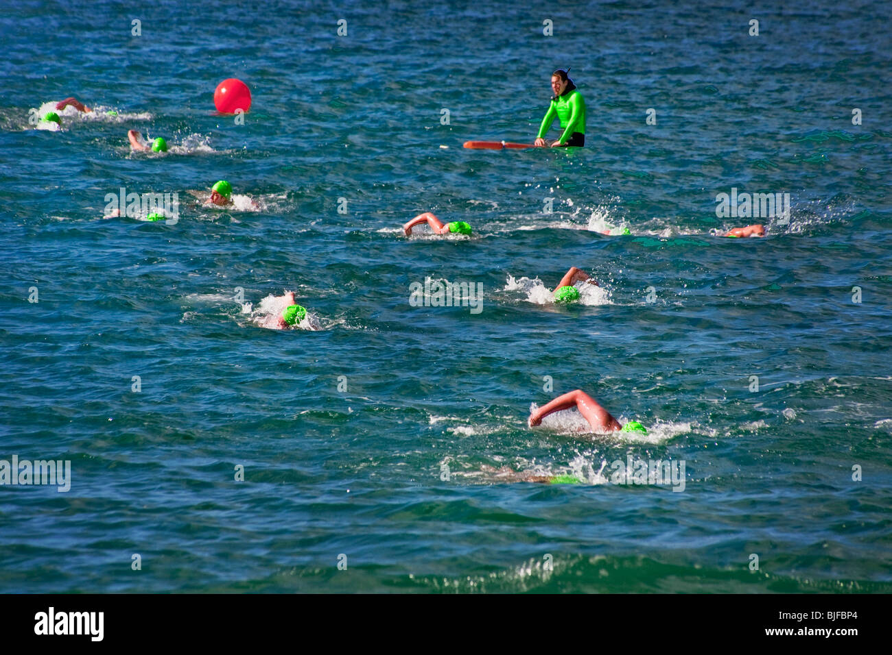 Job classification hi-res stock photography and images - Alamy