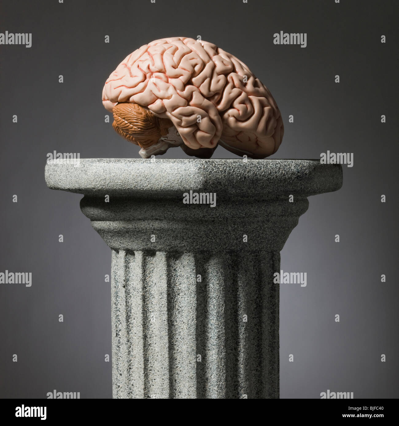 Brain hi-res stock photography and images - Alamy