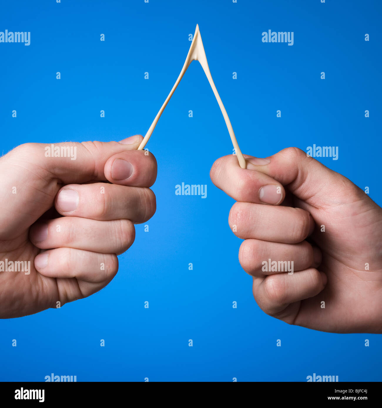 Hand holding a wishbone Stock Photo - Alamy