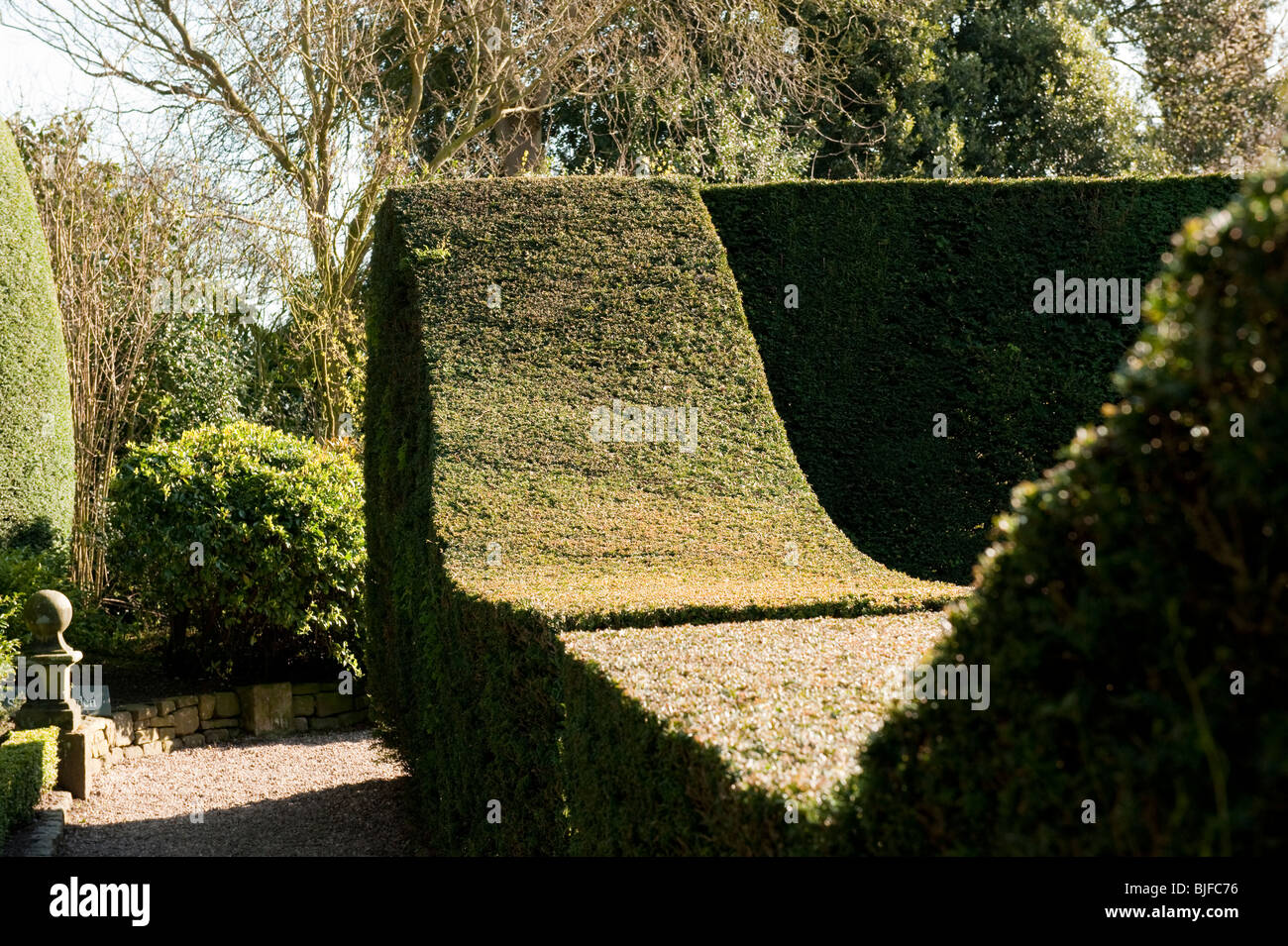Neatly trimmed and sculptured hedges in formal garden Stock Photo - Alamy