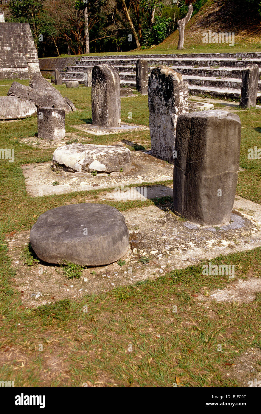 Stelae (carved stone shafts, often sculpted with figures and ...