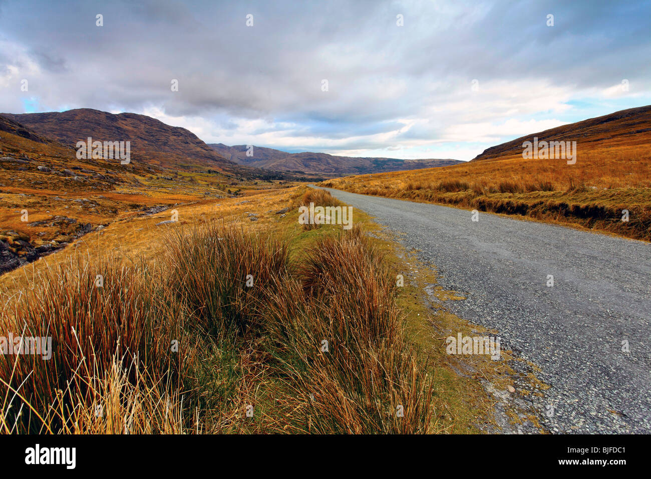 golden colours and bright sunlight on The Cork and Kerry mountains ...