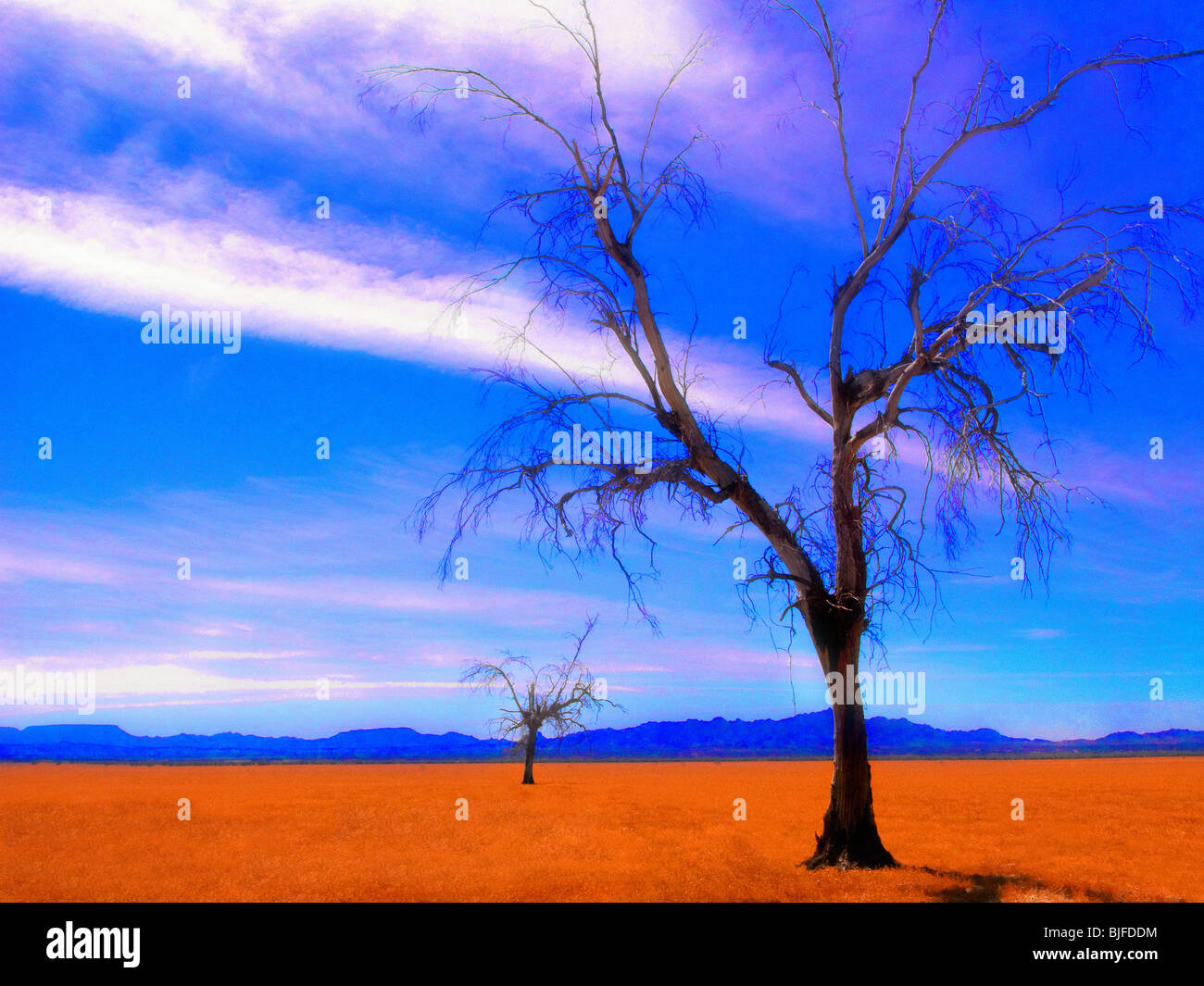 Altered tree hi-res stock photography and images - Alamy