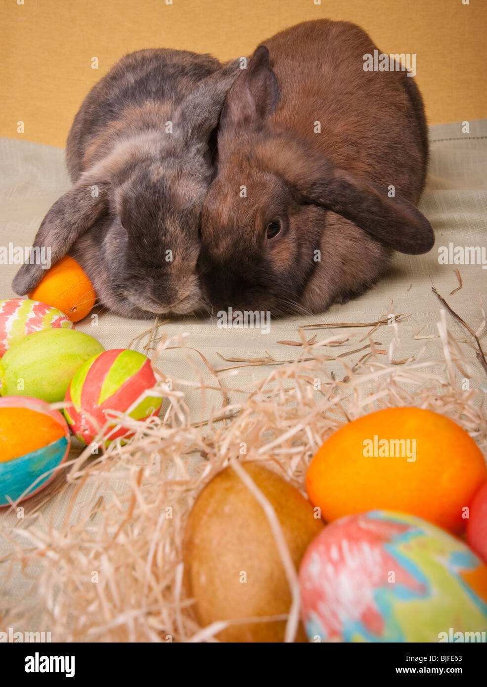Two Easter Bunnies with hand painted Easter Eggs Stock Photo - Alamy