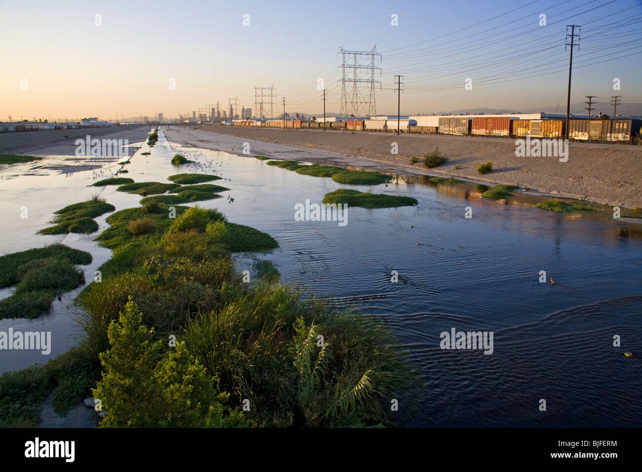 Los Angeles River with waterfowl, south of downtown Los Angeles. Bell ...
