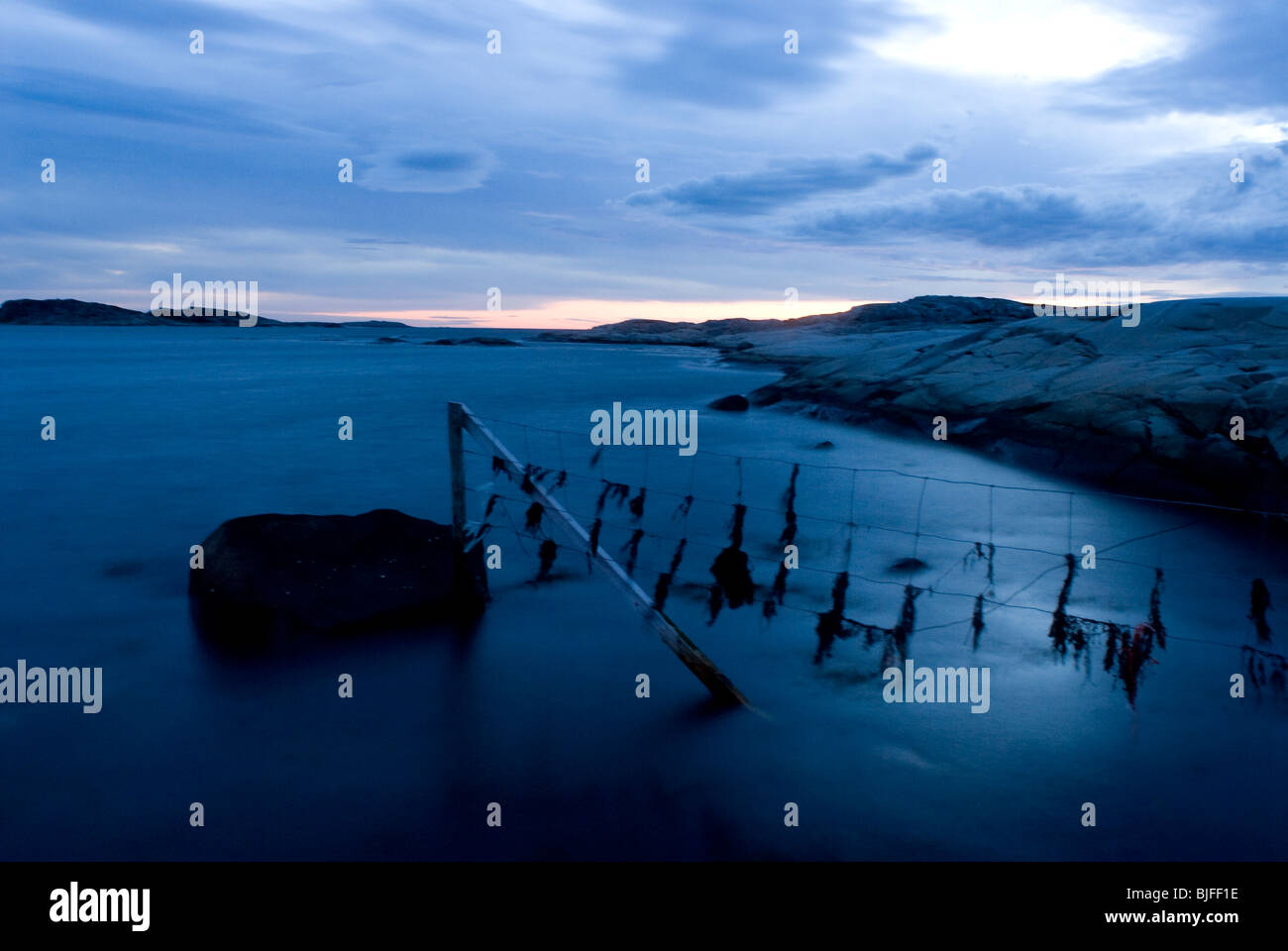 Koster islands, Swedish national Park, Sweden Stock Photo - Alamy