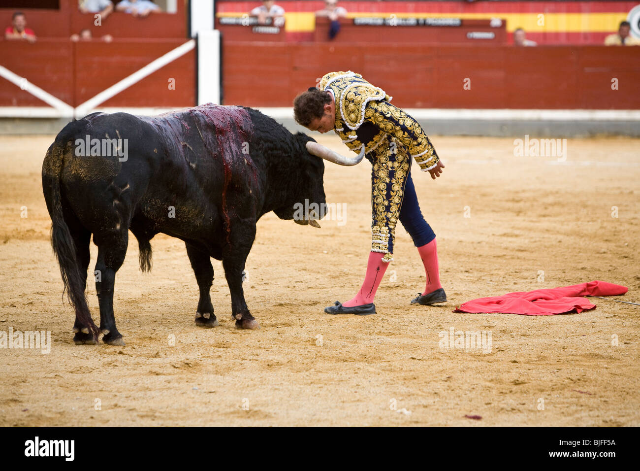 Bullfighting traditions hi-res stock photography and images - Alamy
