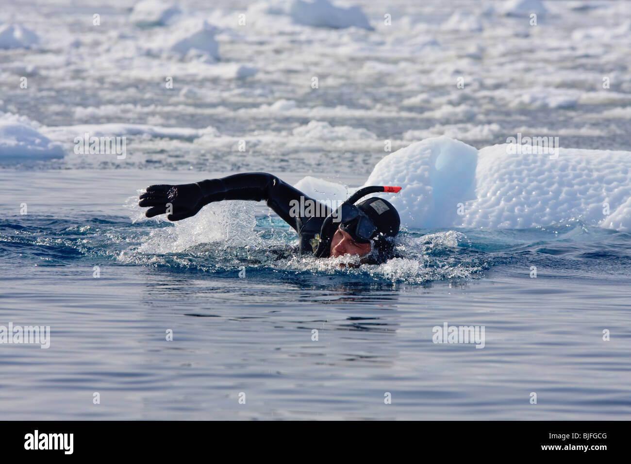 Diver among the ice against the blue iceberg. Antarctica Stock Photo ...