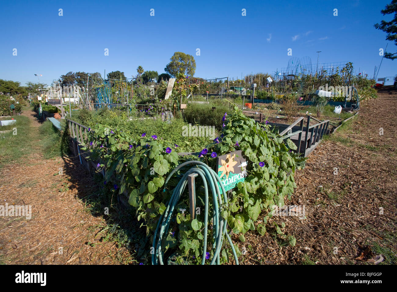 Santa monica community garden hi-res stock photography and images - Alamy