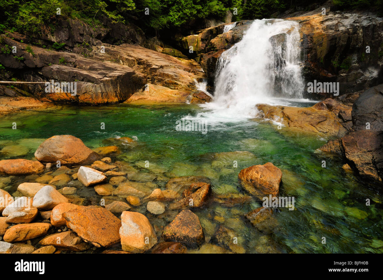 Maple ridge bc hi-res stock photography and images - Alamy