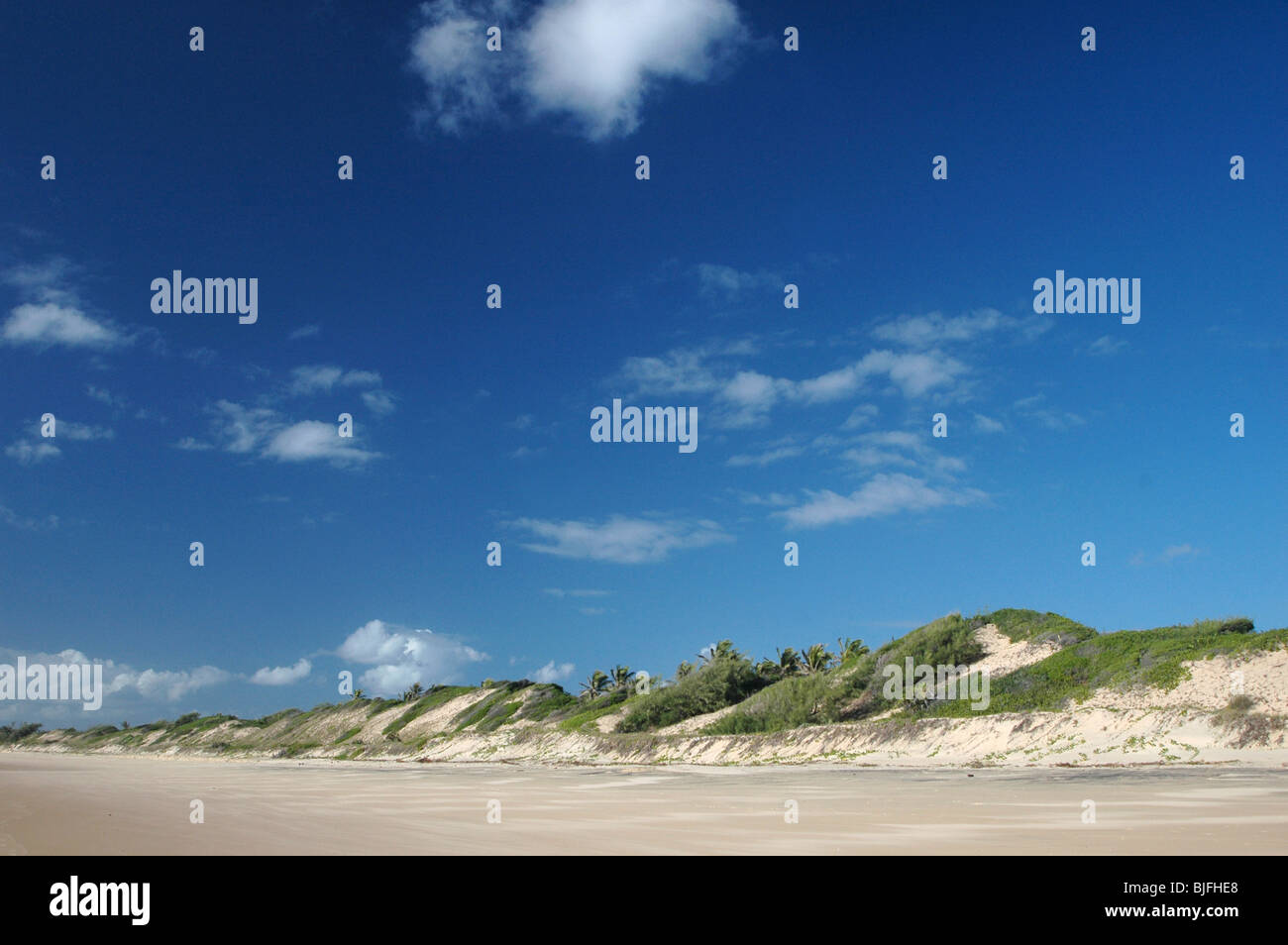 Surfing tofo waves tofo beach hi-res stock photography and images - Alamy