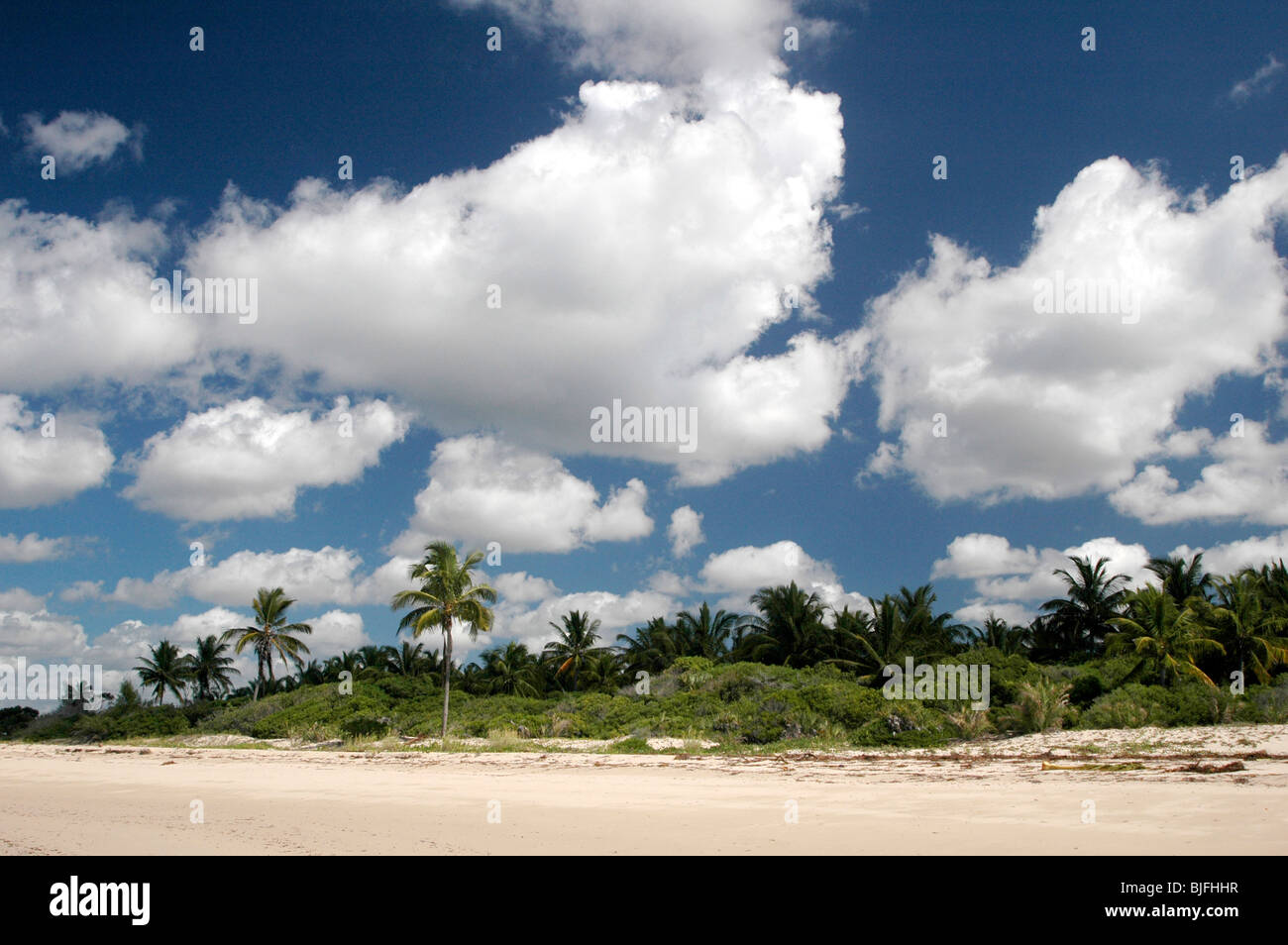 The beautiful and idyllic island of Linga Linga. Just North of ...