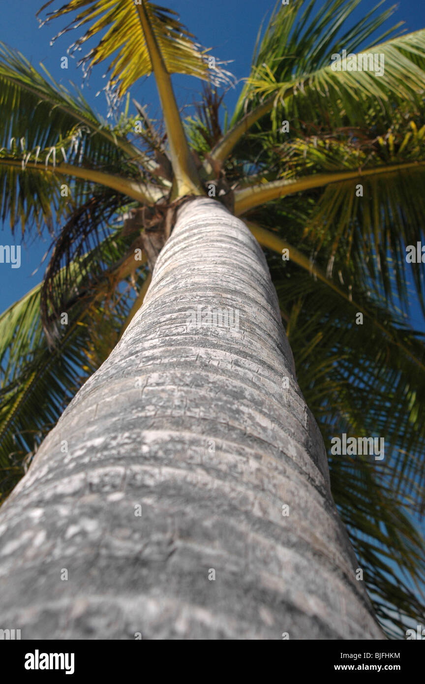 The beautiful and idyllic island of Linga Linga. Just North of ...