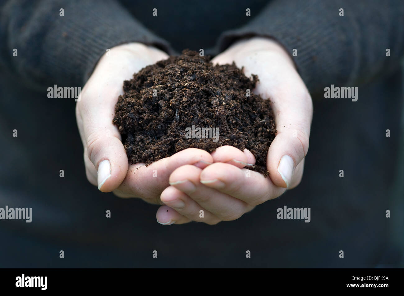 hands holding compost Stock Photo - Alamy