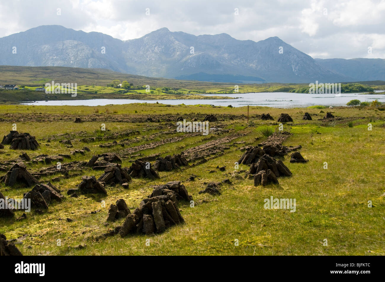 Peat drying near the Twelve Bens range, Connemara, County Galway ...