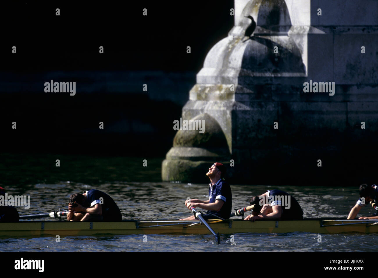 Disappointed rowing team after losing a race Stock Photo - Alamy