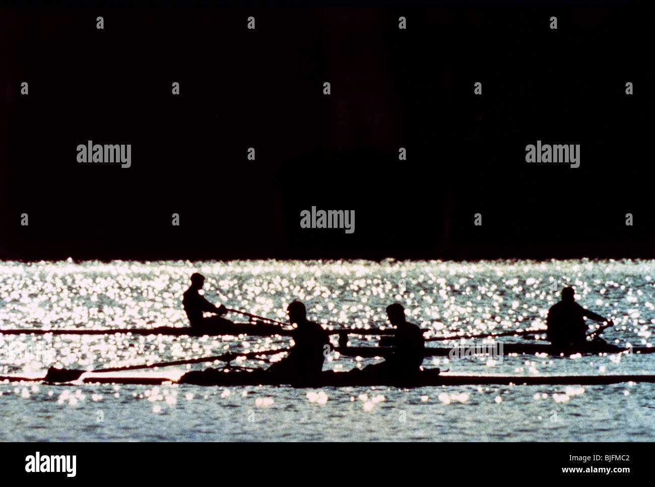Four people rowing on a lake Stock Photo - Alamy