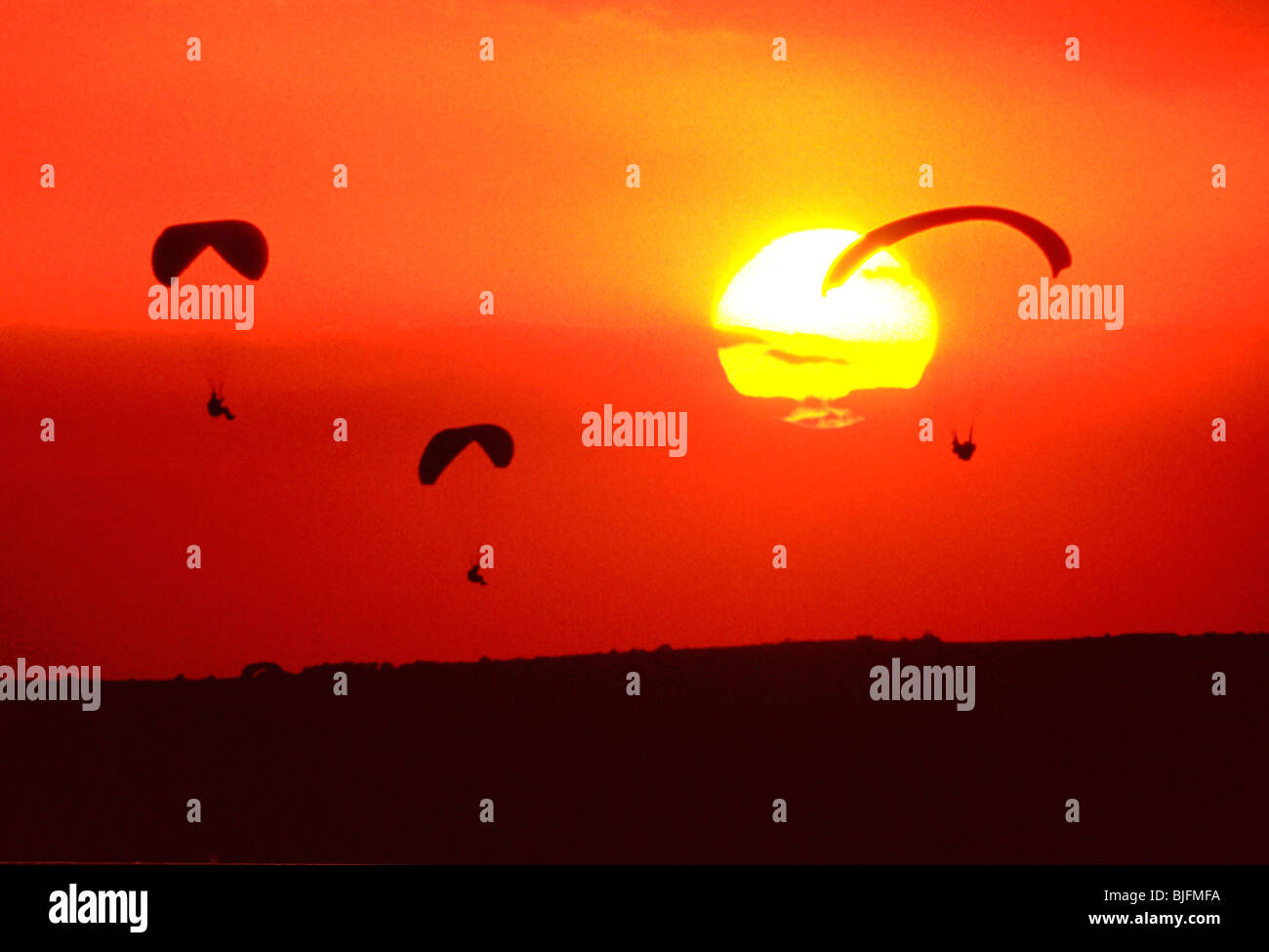 Group of paragliders at sunset Stock Photo - Alamy