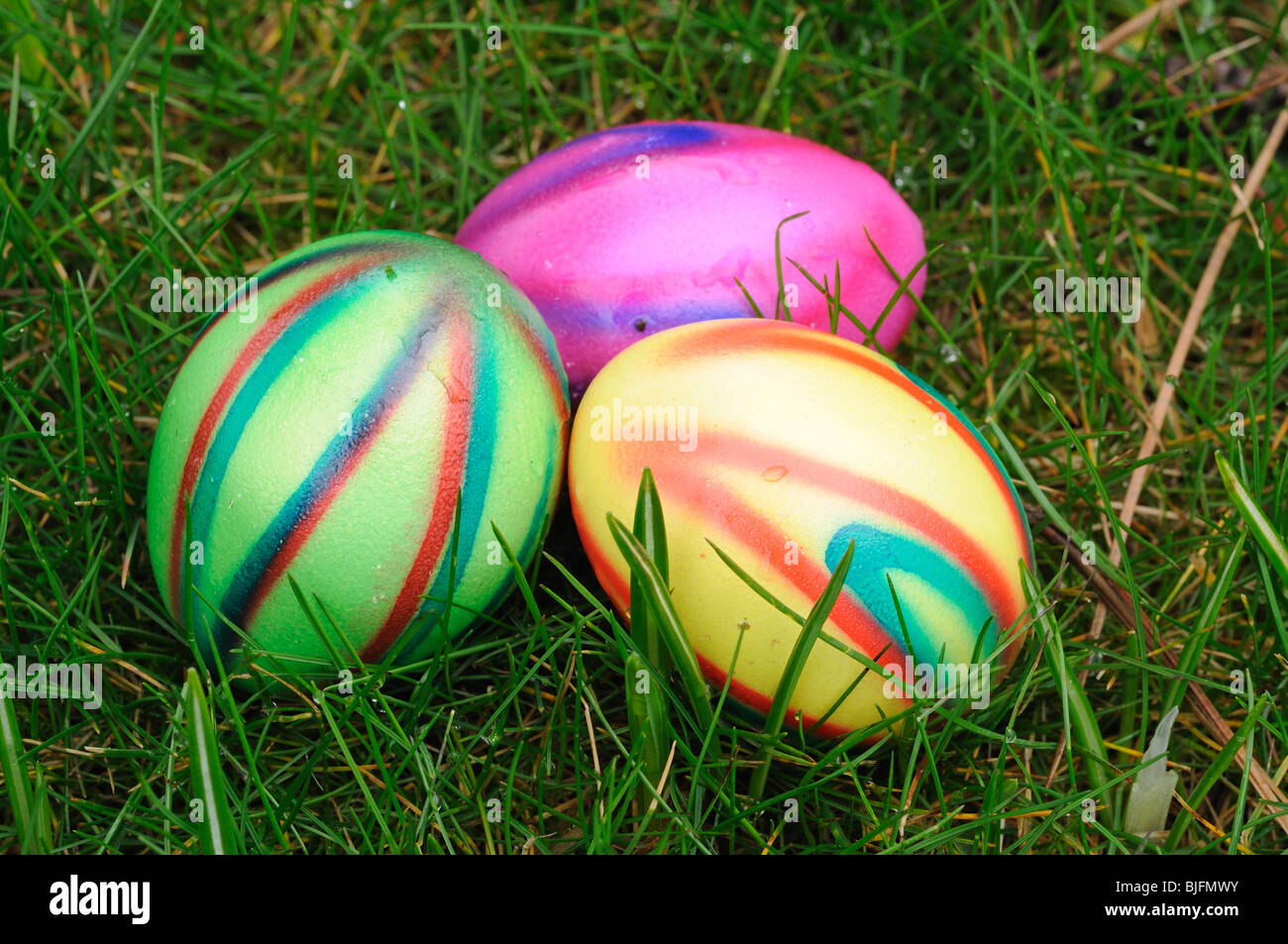 Easter eggs hidden in grass hi-res stock photography and images - Alamy