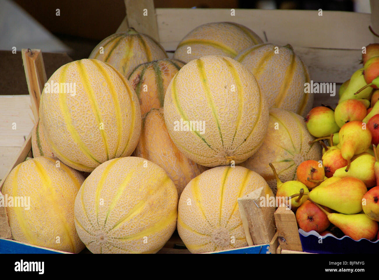 Zuckermelone - Muskmelon 02 Stock Photo - Alamy