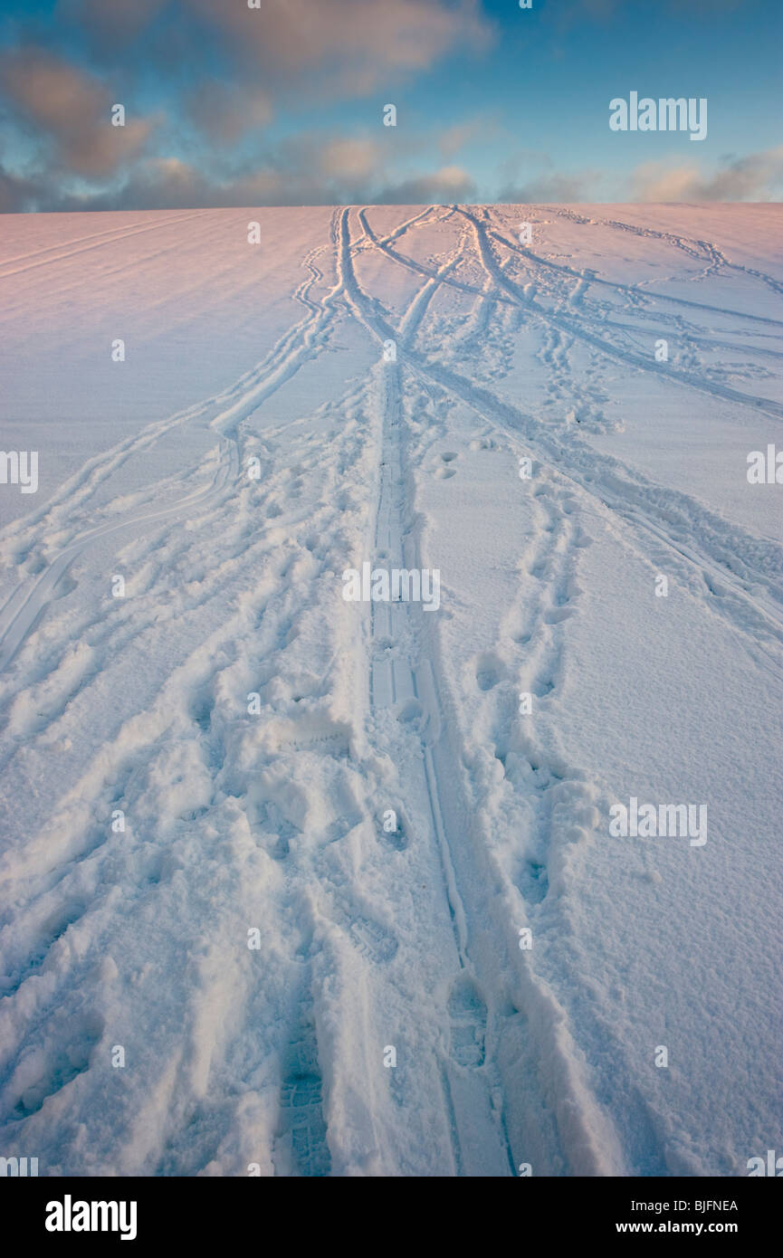 Tracks in snow covered ground in a heavy Winter snowfall on farmland ...