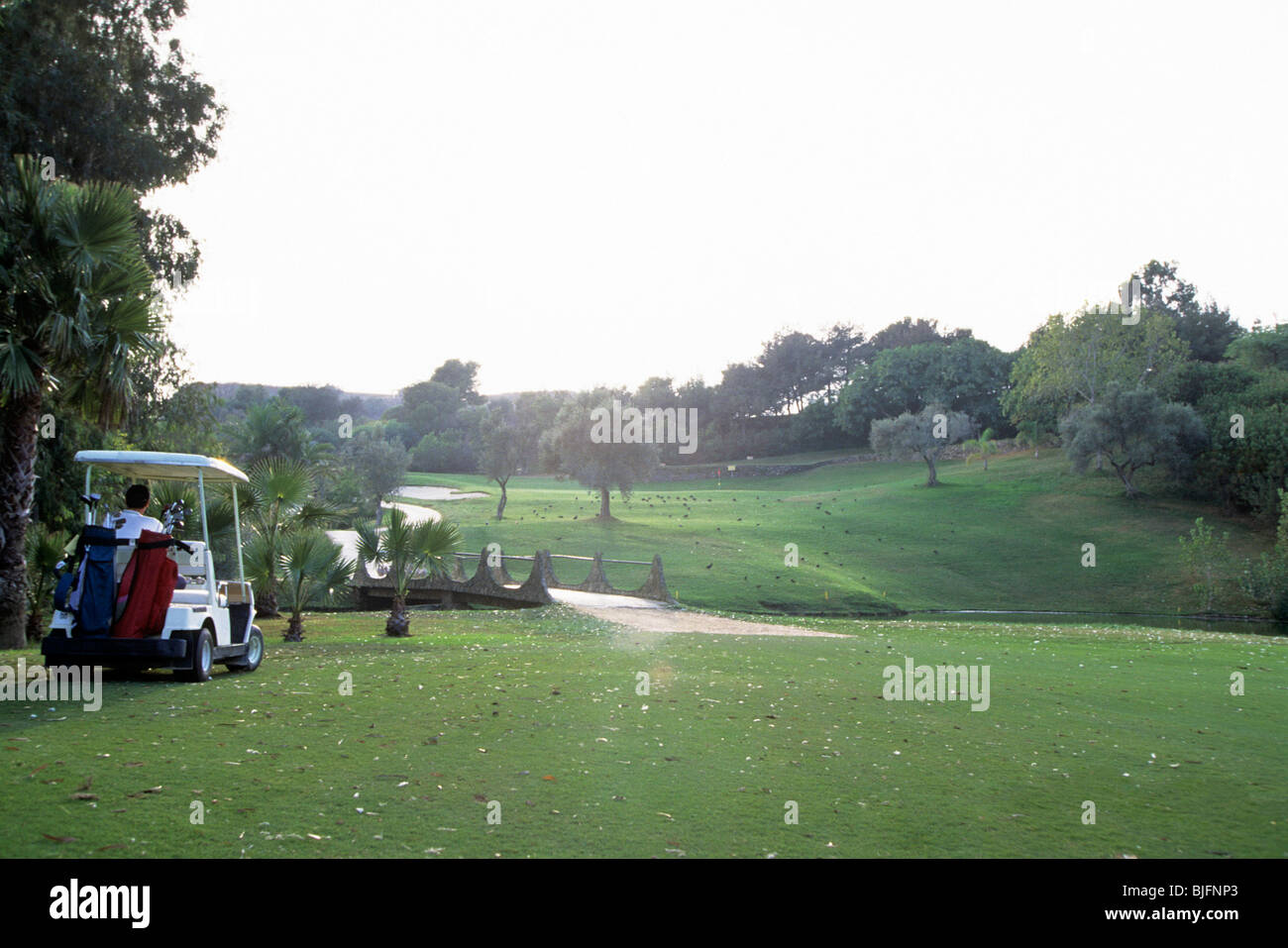 Golfer driving a cart on a golf course Stock Photo - Alamy