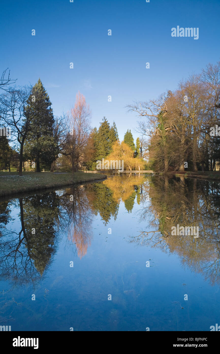 Thorp Perrow Arboretum, Bedale, North Yorkshire Stock Photo - Alamy