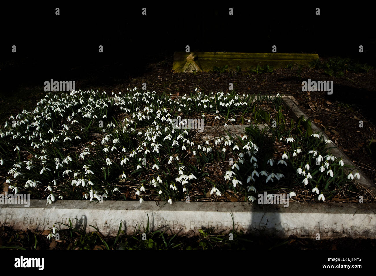 Life after death Stock Photo - Alamy