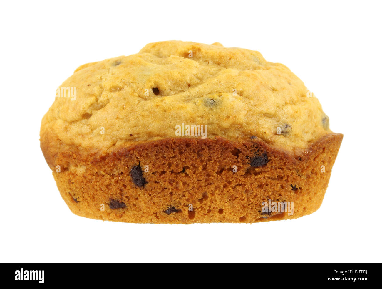 Single chocolate chip muffin Stock Photo - Alamy