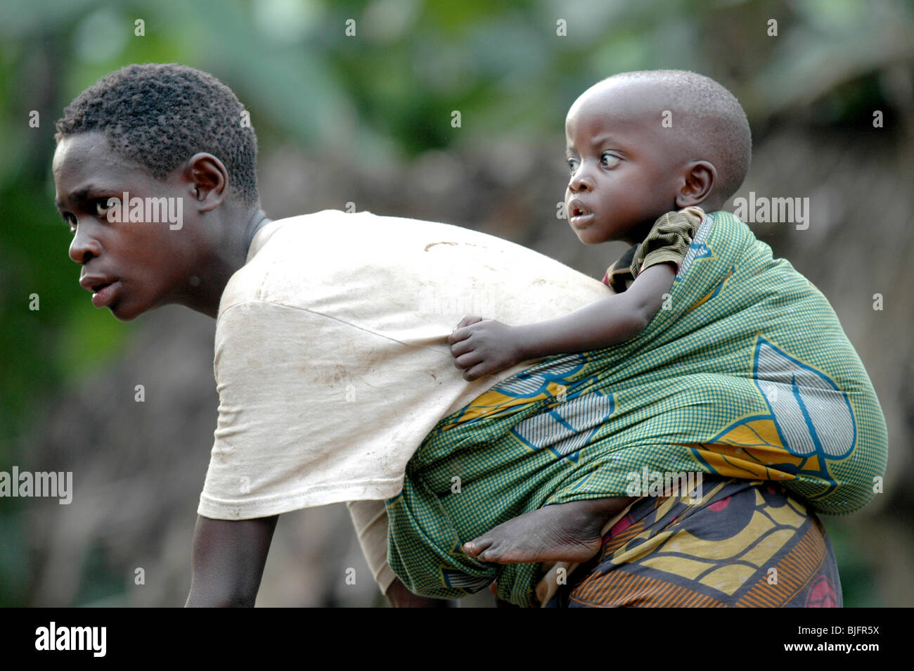 Tribal Pygmy dancing near Bwindi National Park. Uganda, Africa ...