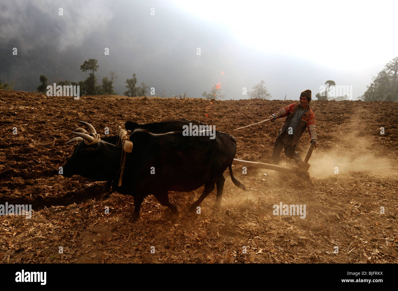 Sherpa nepal farm hi-res stock photography and images - Alamy