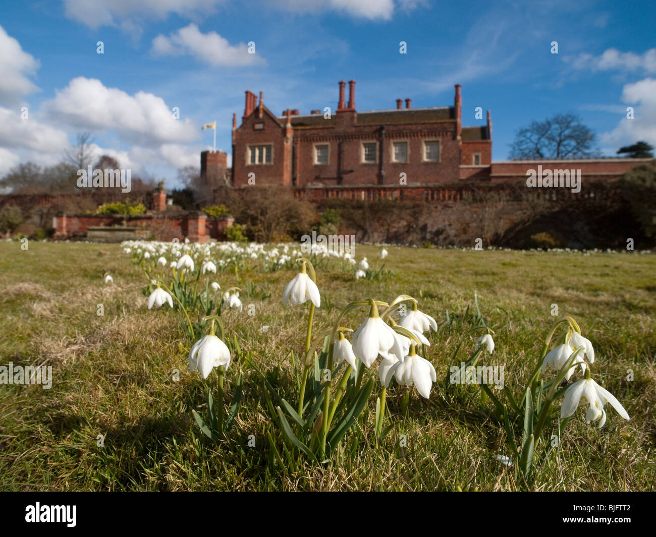 House with lots of flowers hi-res stock photography and images - Alamy