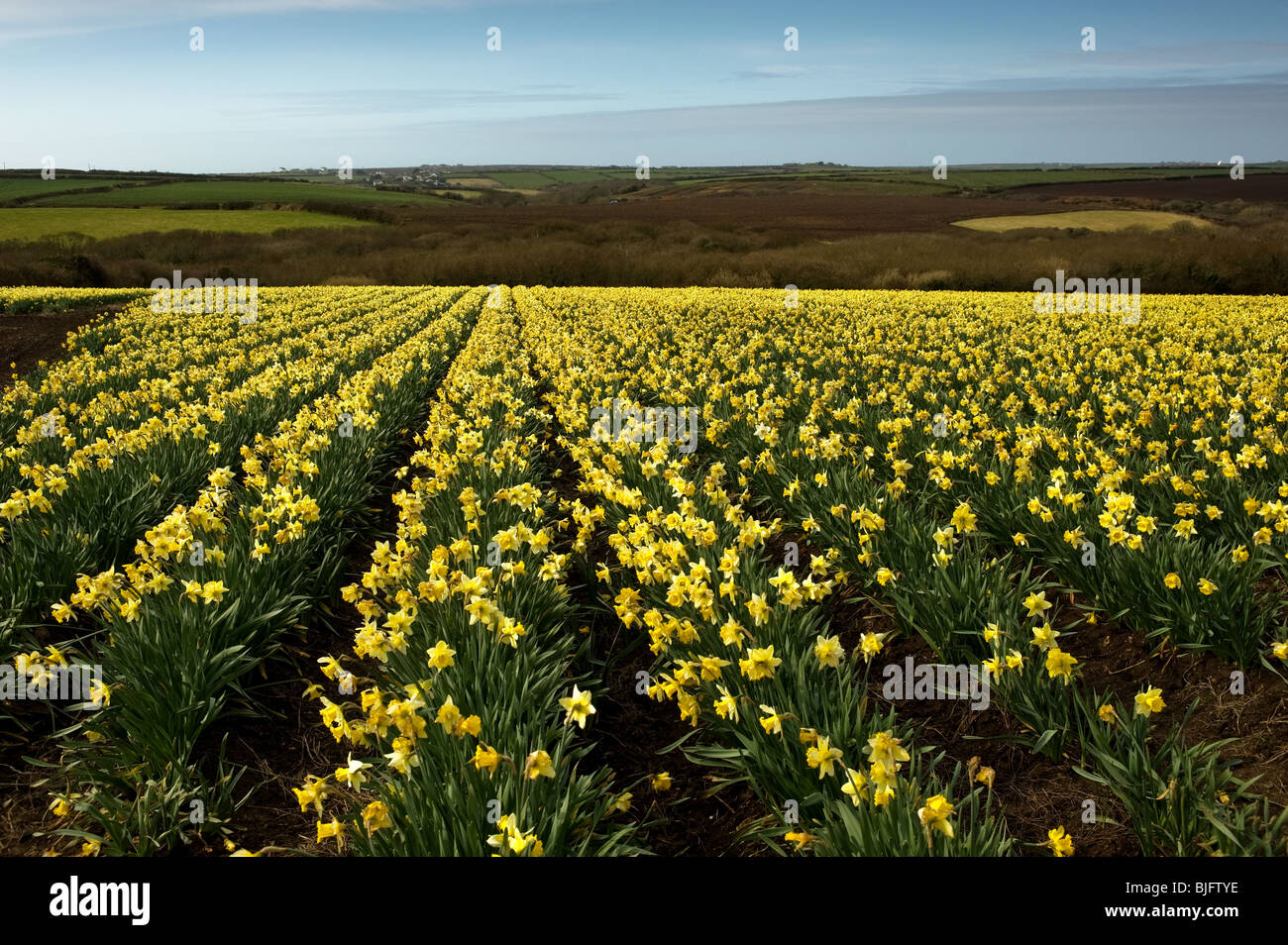 Cornwall deserted farm hi-res stock photography and images - Alamy